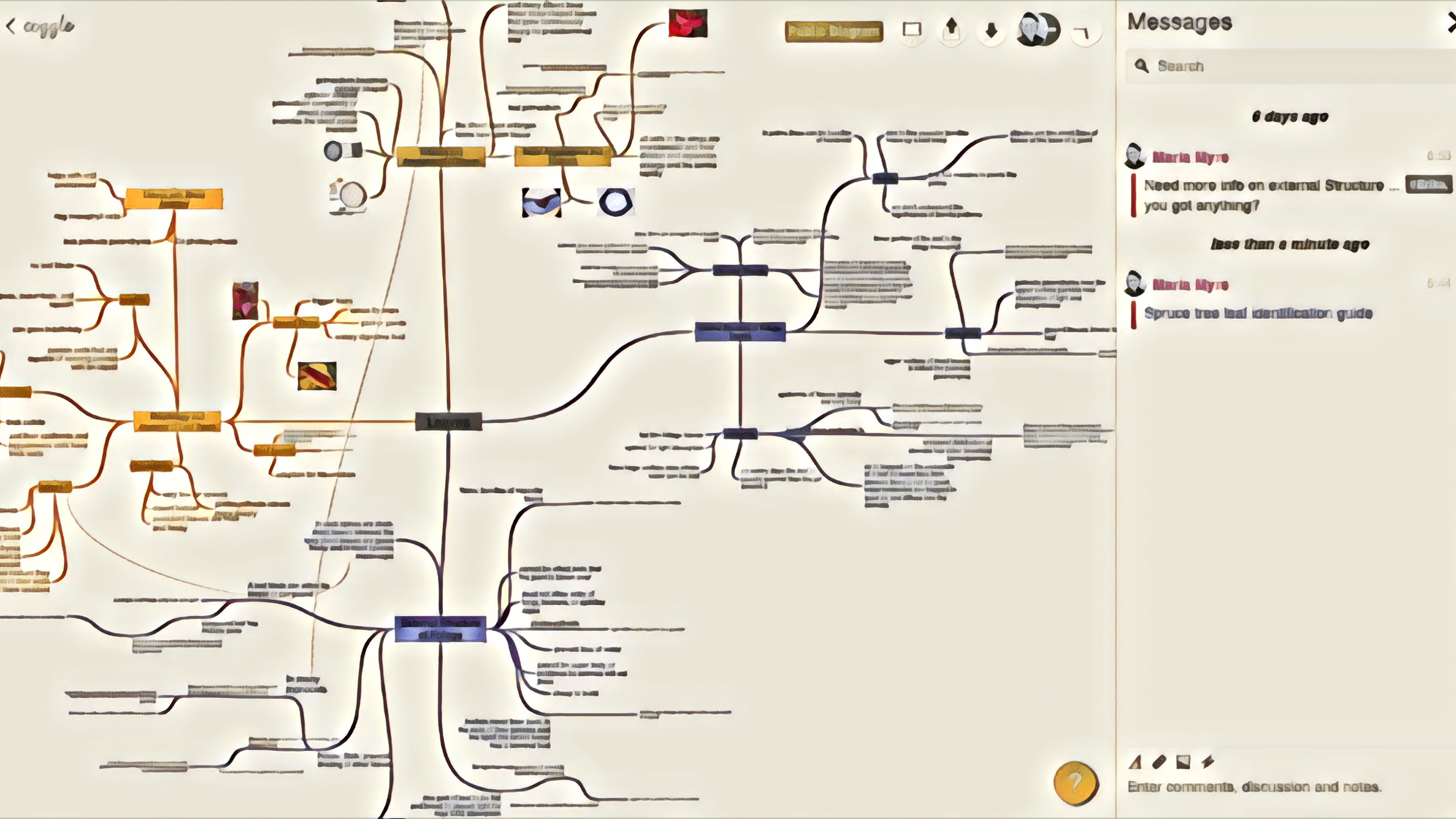 The Best Mind Mapping Software in 2019 - Technology news to help ...